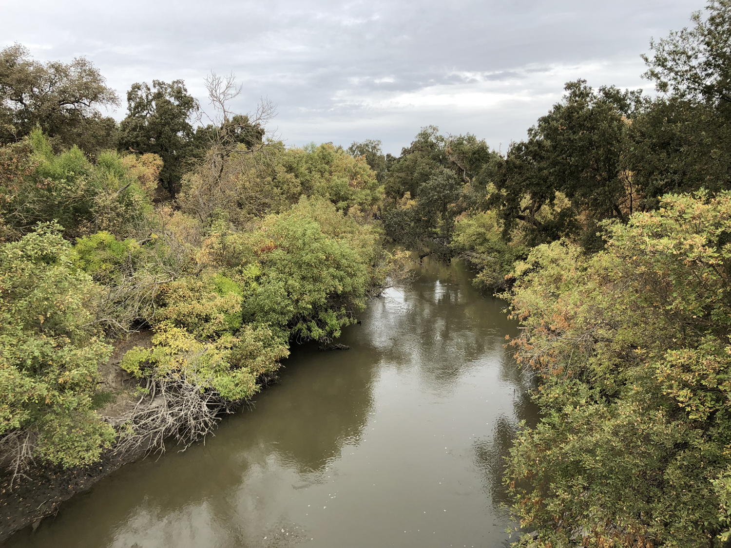 Butte Creek Preservation - Sutter Buttes Regional Land Trust