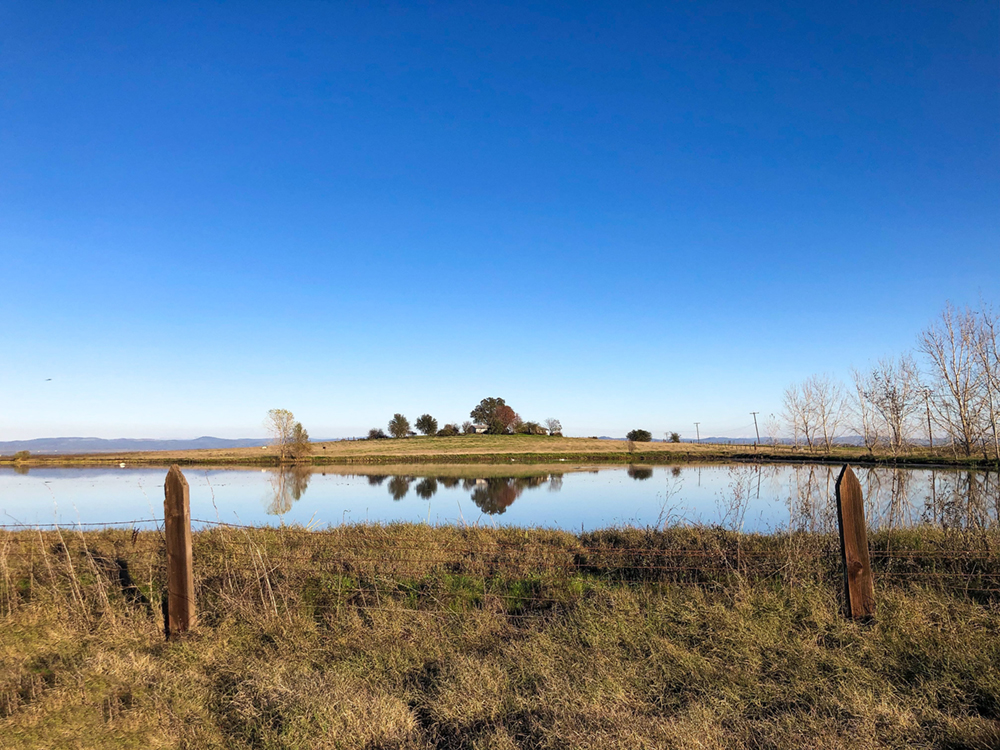 Magnolia Ranch Agricultural Conservation Easement - Sutter Buttes ...